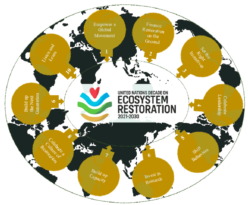 UN honors 7 initiatives for advancing global ecosystem restoration ...
